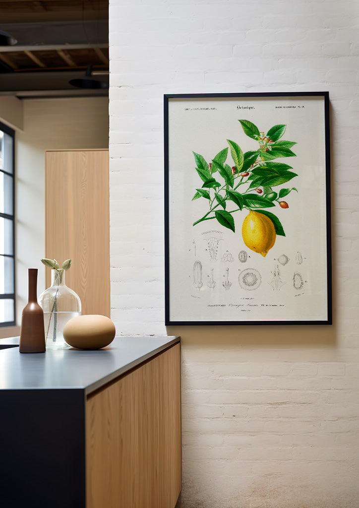 Vintage Lemon Print to Decorate Your Kitchen – Posterist