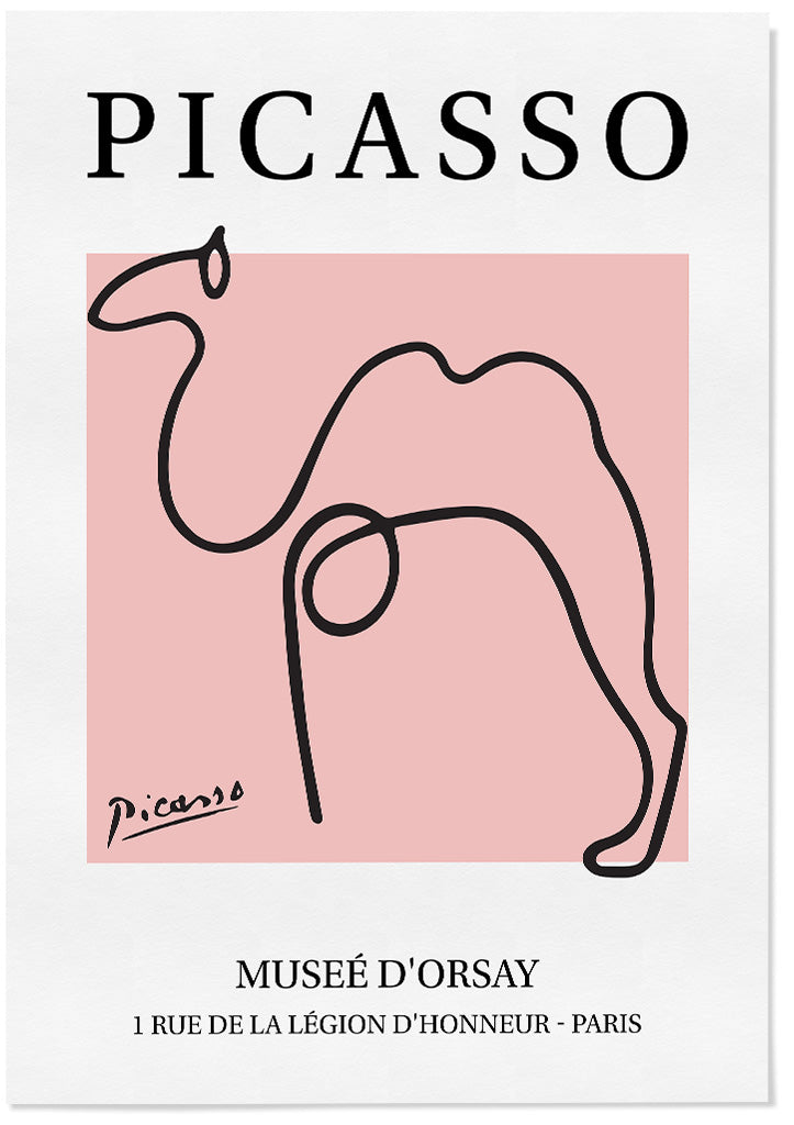 Picasso Line Drawings Camel